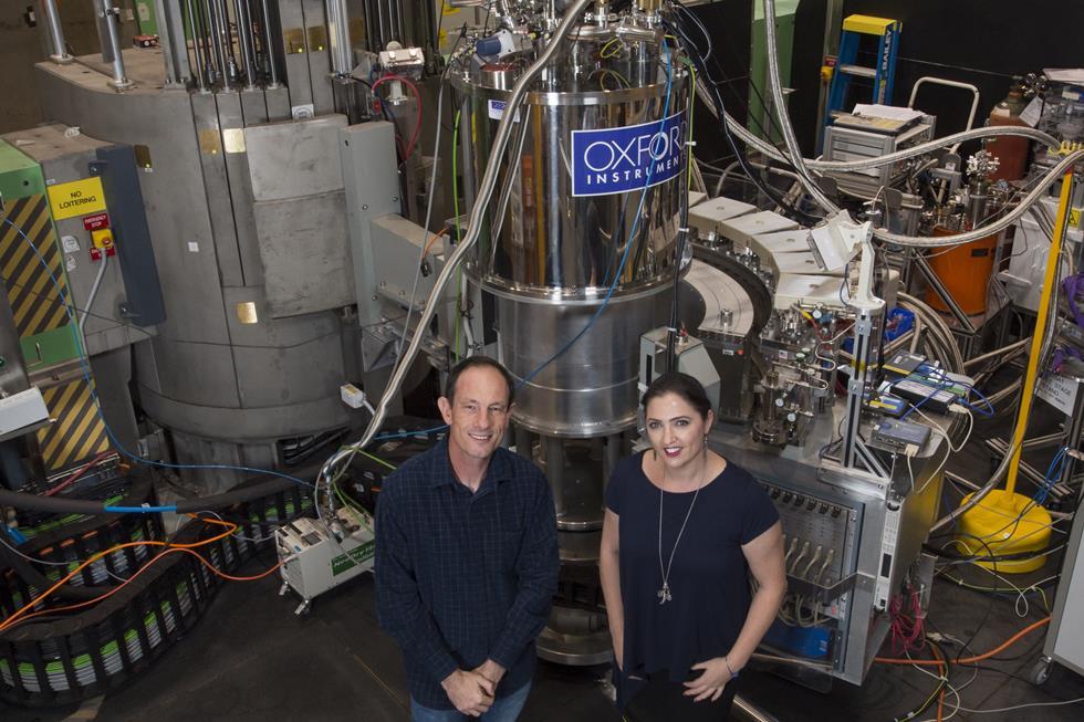 From cement to batteries with help from a wombat | Research | Chemistry ...